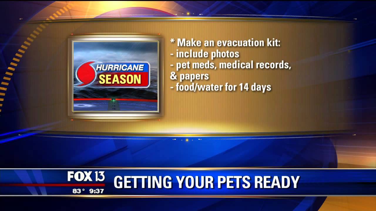 Hurricane and Disaster Preparedness for Pets My Fox Tampa Bay Russel ...