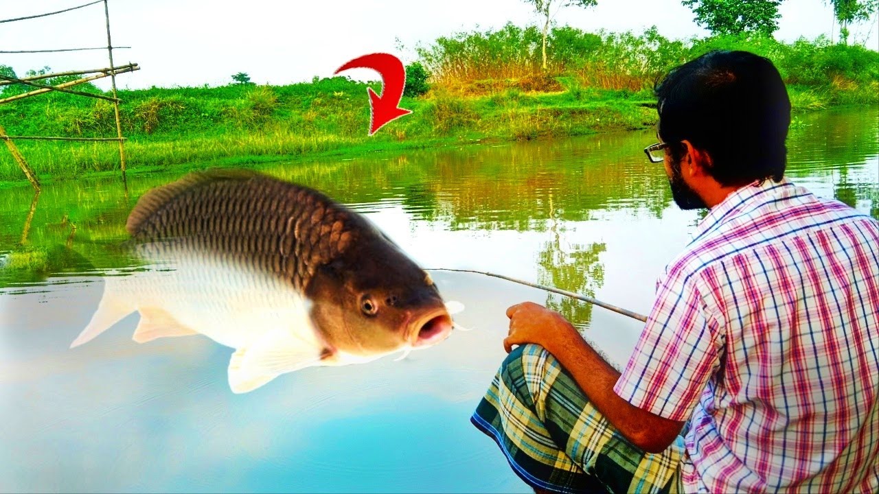 Wow Amazing Hook Fishing In River ! Traditional Fish Catching Video ...