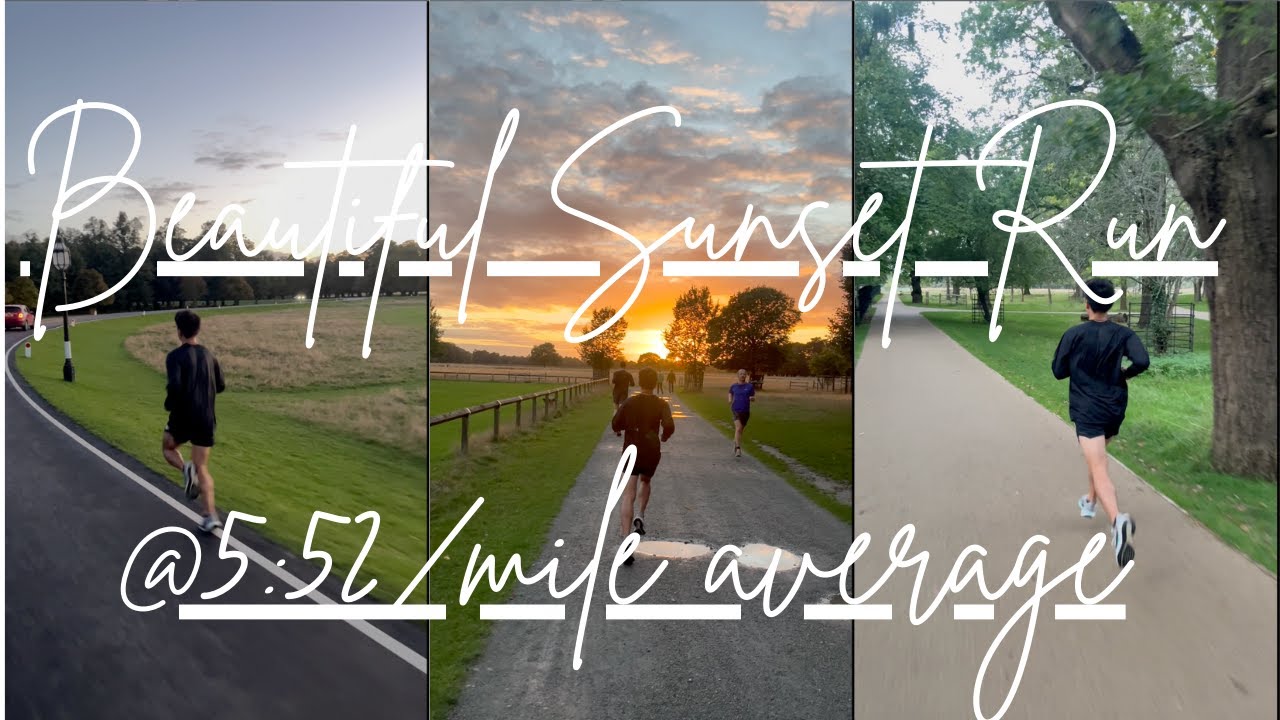 QUICK Steady Sunset Run in Bushy Park - YouTube