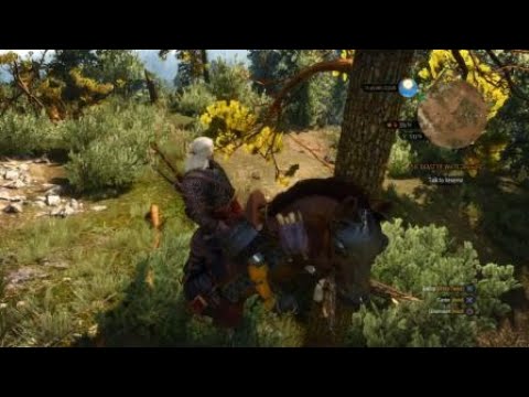 The Witcher 3: Roach mounts a tree - YouTube