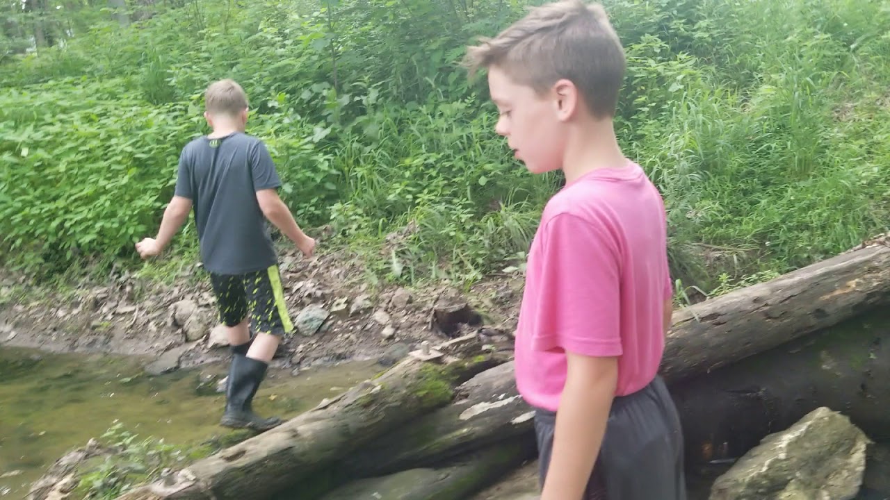 Exploring a Creek - YouTube