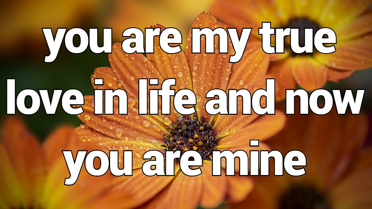 You know what; you are my true love in life and now you are mine. My ...