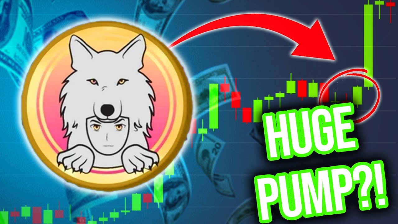 SAITAMA INU BIG UPDATE: INSIDER SECRETS REVEALED! (PRICE PREDICTION ...