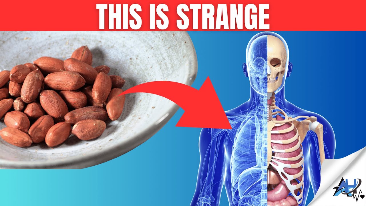 This happens when you eat peanuts everyday for 30 days (updated 2024) - YouTube
