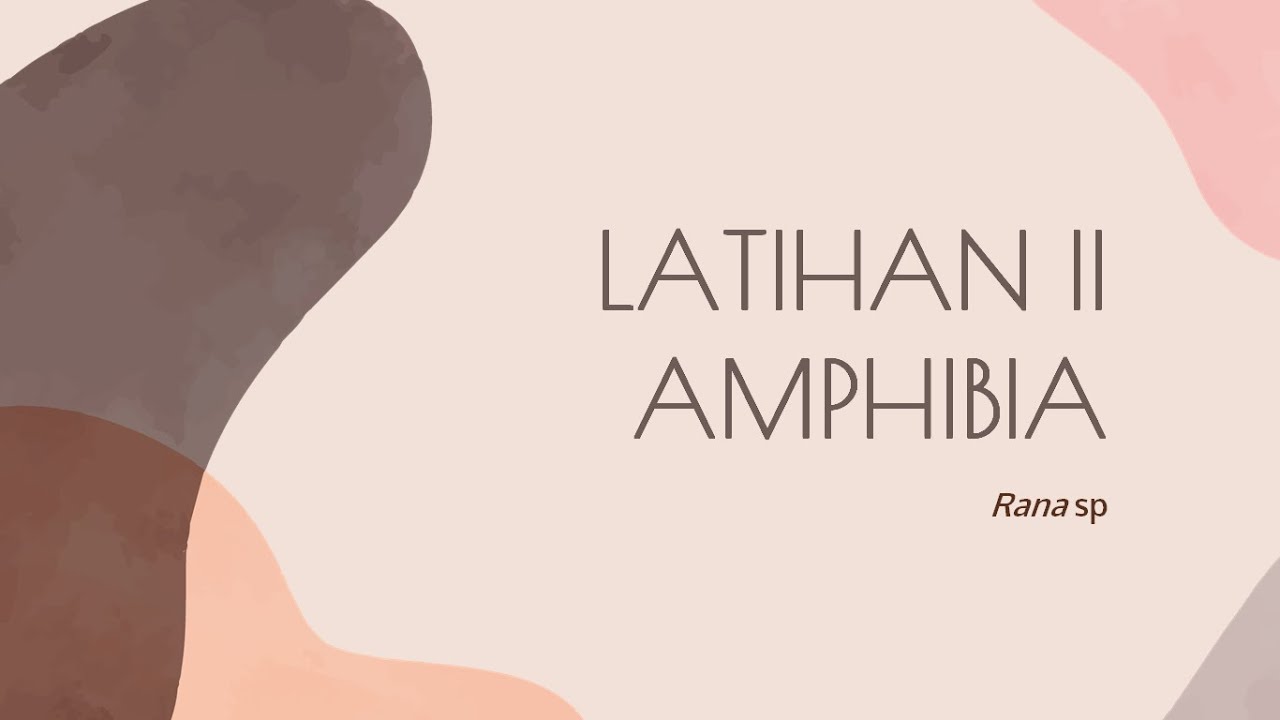 LATIHAN II_AMPHIBIA_KELOMPOK 10_KELAS 4B - YouTube