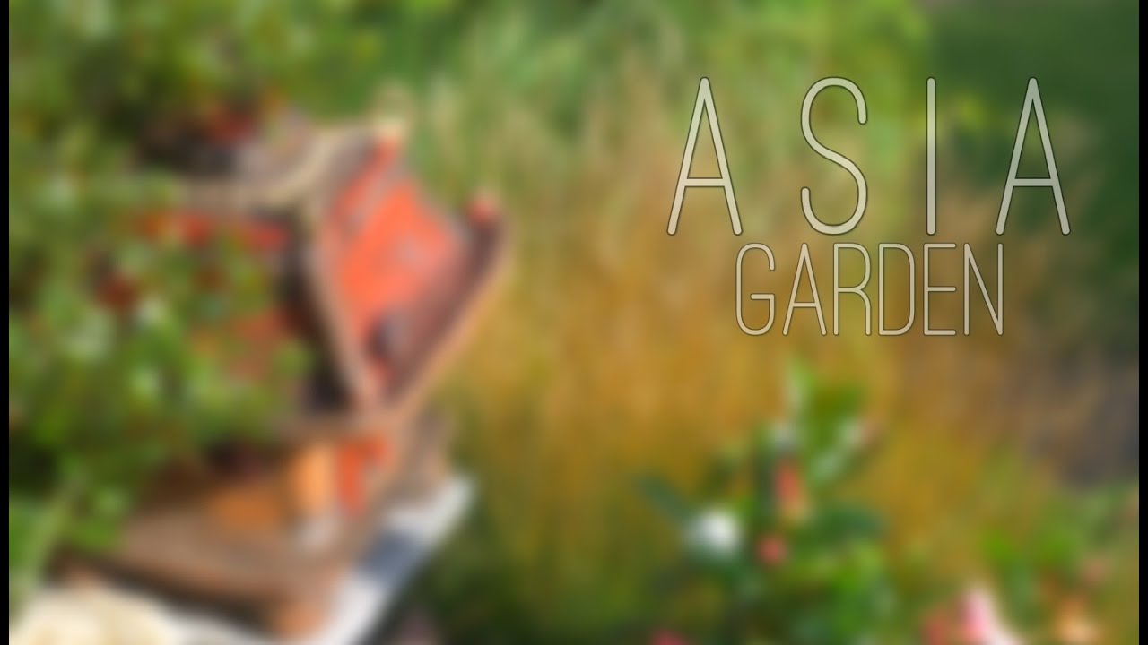 Asia Garden - 4K / Ultra HD / UHD 25p - Naturfilm - Panasonic Lumix G70 ...