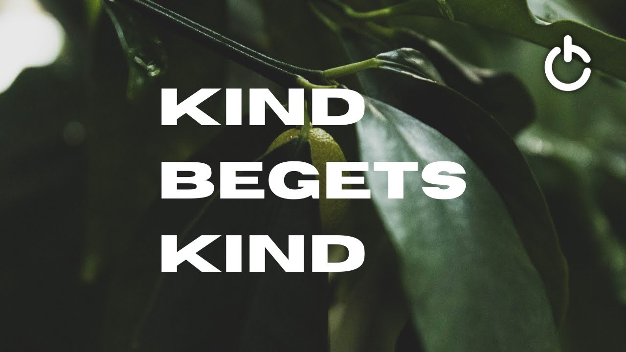 Kind Begets Kind | Teaching Tuesdays | Pastor Moses Anderson | 12/6/22 ...