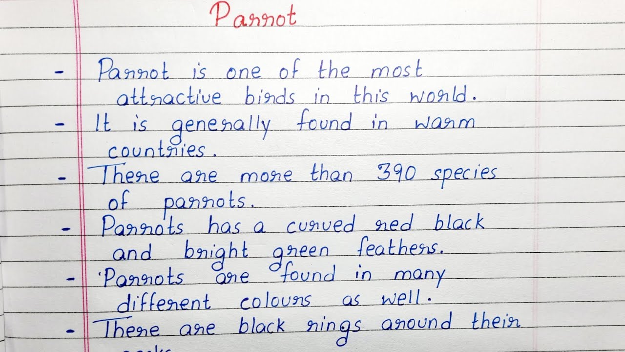 Write a short essay on Parrot | 10 lines on Parrot | English - YouTube