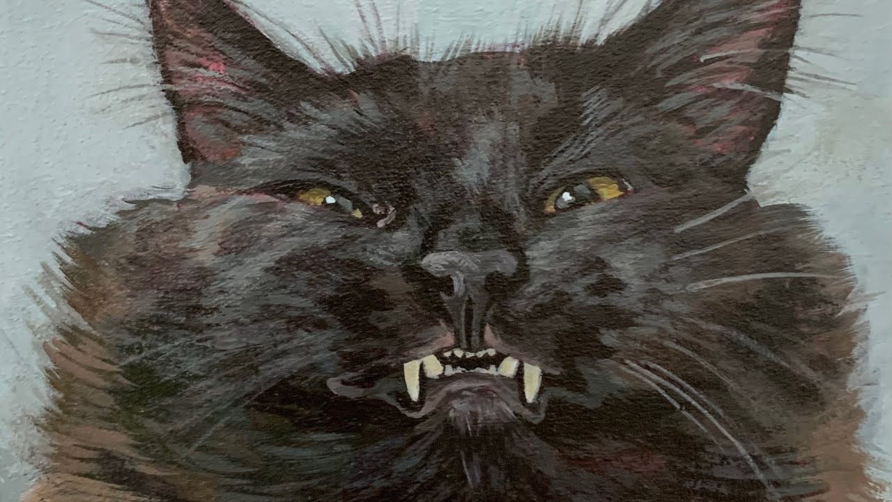 Commission Cat Paintings I finished in the last 2 years - YouTube