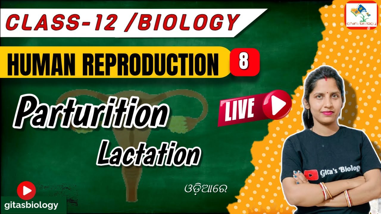 Human Reproduction || Development of Embryo || Class-12 NEET || Zoology ...