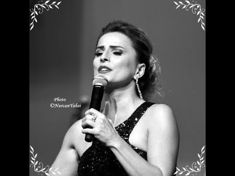 AYŞEN BİRGÖR/  UNUTULMUŞ NE VARSA-N.Y