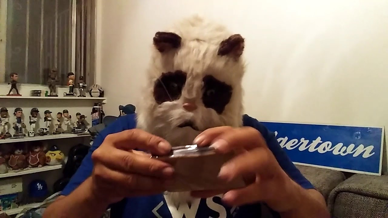 Grumpy cat pepino wants some Corey Seager baseball card mailday from ...