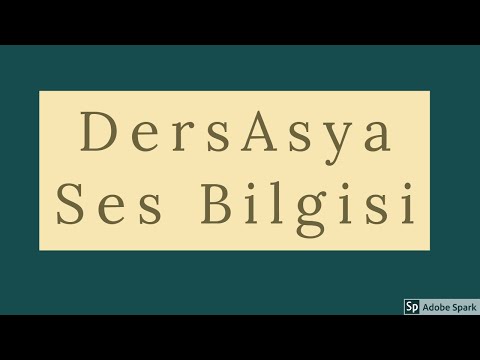 6 ses bilgisi ,  kaynaştırma sesleri