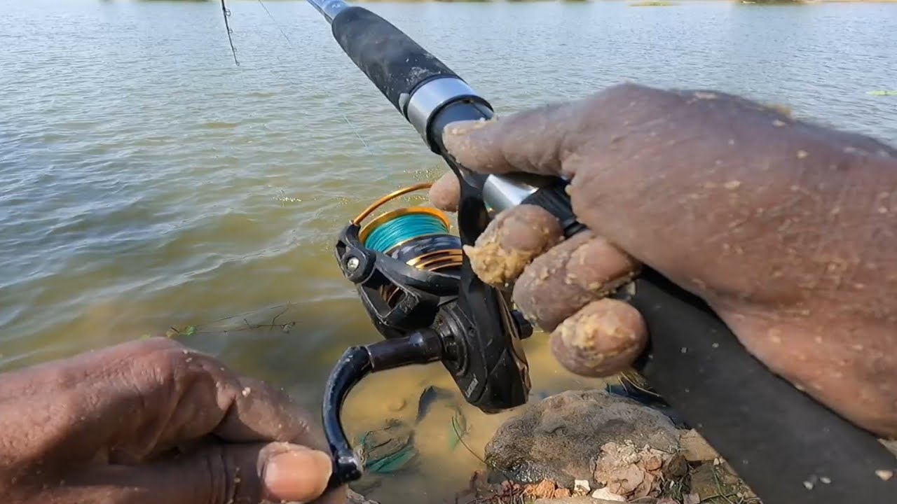 Grass carp Fishing|| Grass Carp Bite || ग्रास कार्प मछली पकड़ने के लिए ...