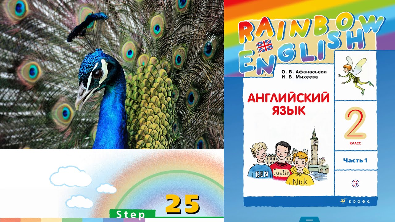 Rainbow English 2-1, Step 25, Английский язык 2 класс ч.1, Афанасьева ...