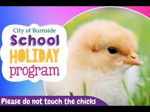 Henny Penny Hatching Livestream @ Burnside Library 08.10.25 - YouTube