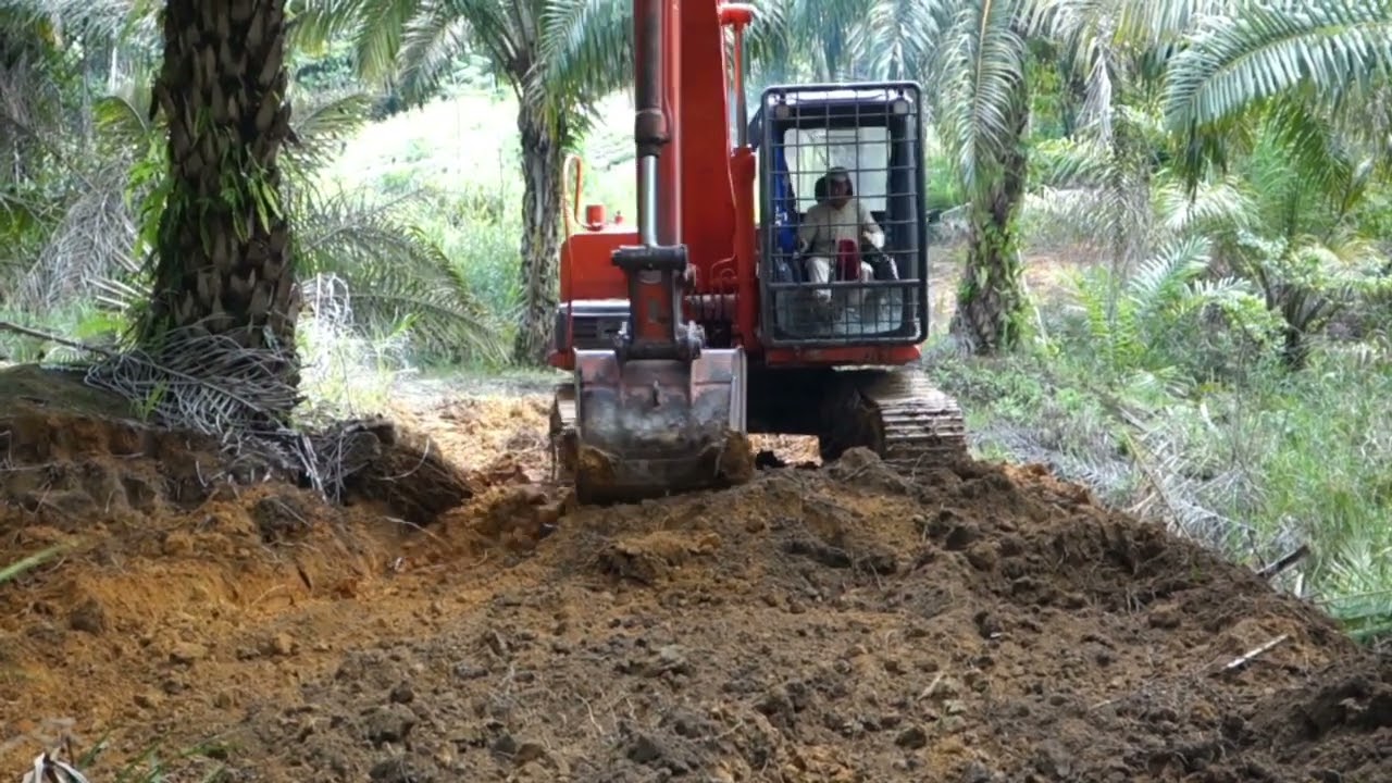 CARA REPAIR JALAN LAMA YANG SUDAH ROSAK DI LADANG SAWIT ‼️ EXCAVATOR ...
