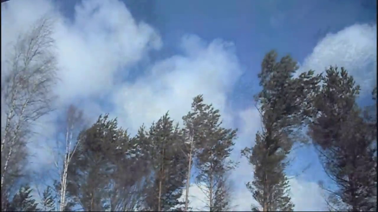 Autumn wind in forest - YouTube