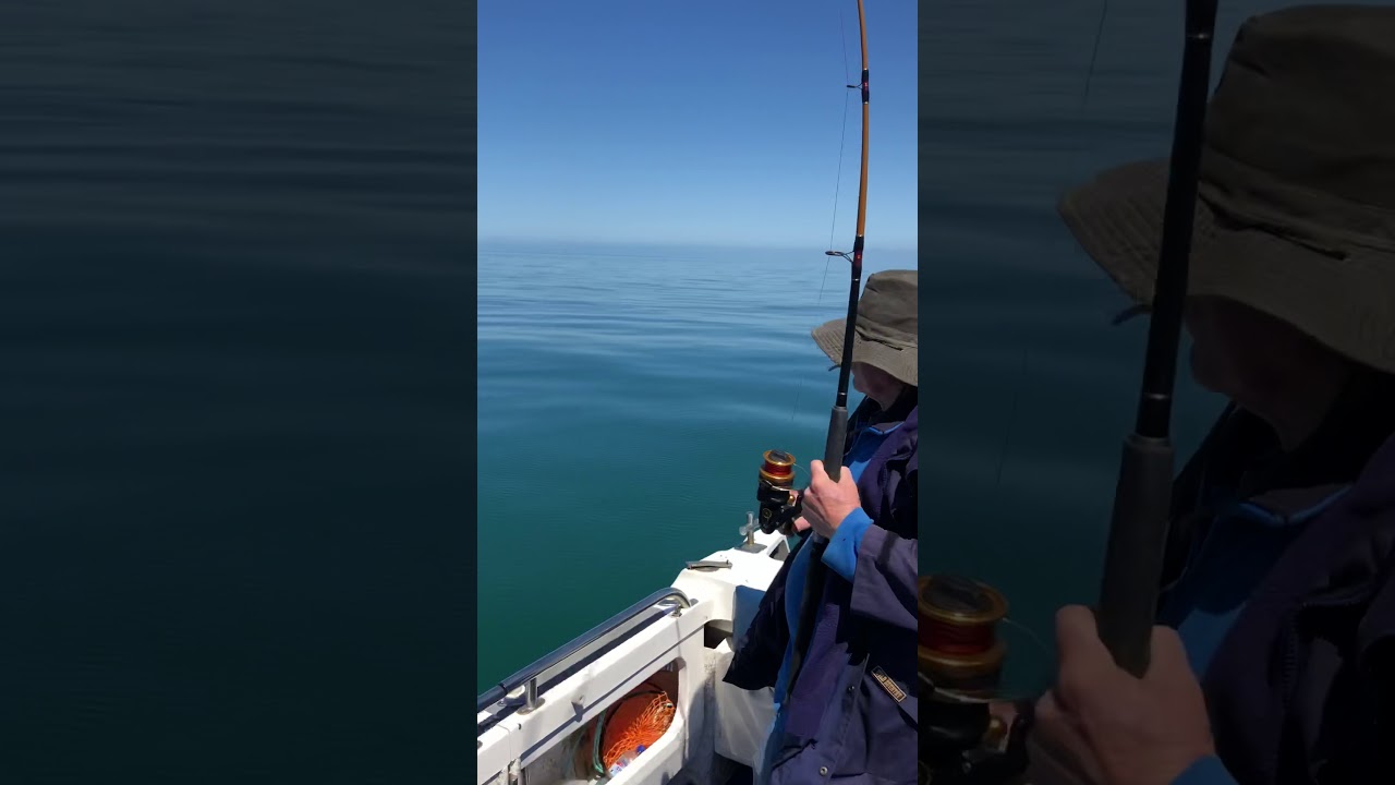 Steve Storic - Whyalla Fishing Charters - YouTube