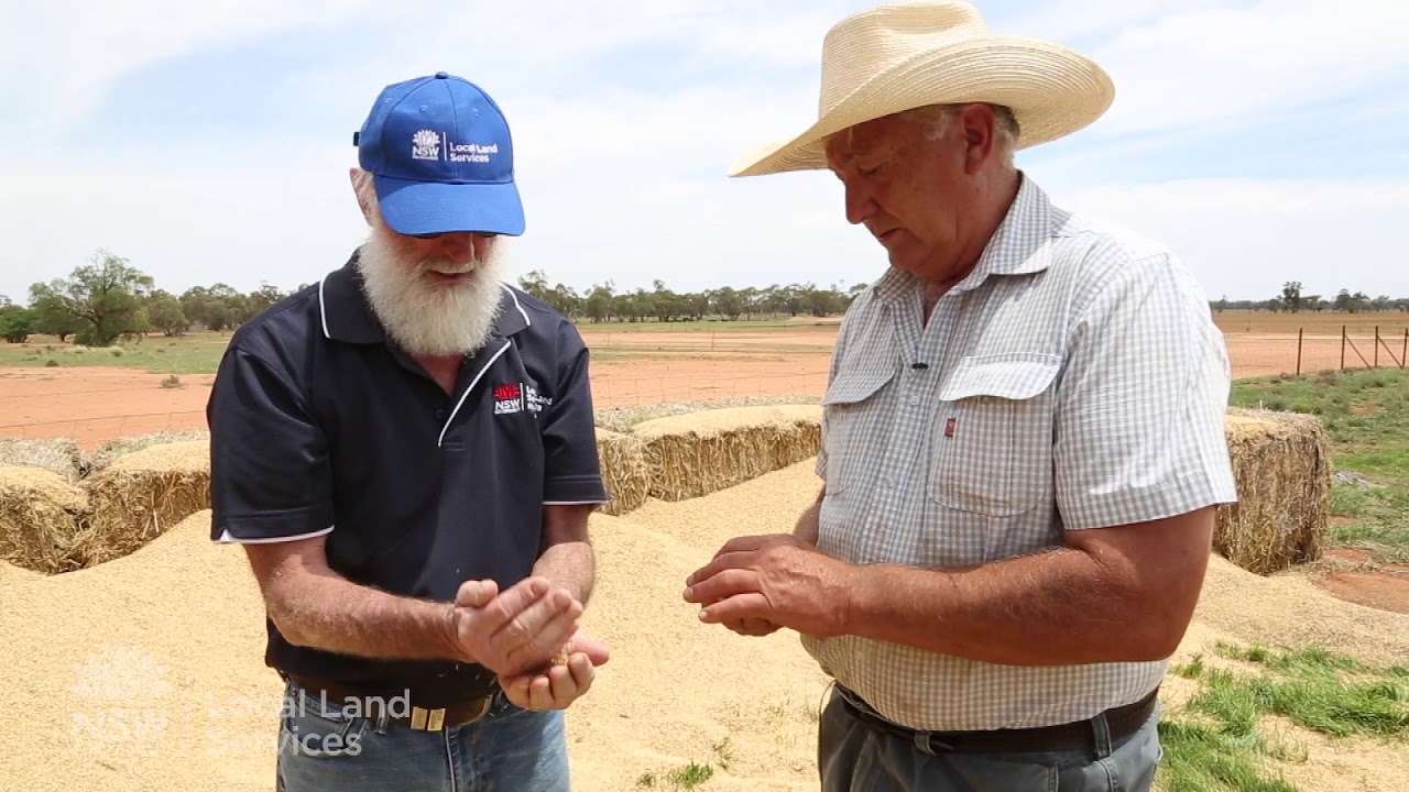 "Adjusting to Drought: Underground Grain Storage." Corporate Video ...