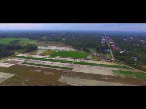 mamak cantik (macan)