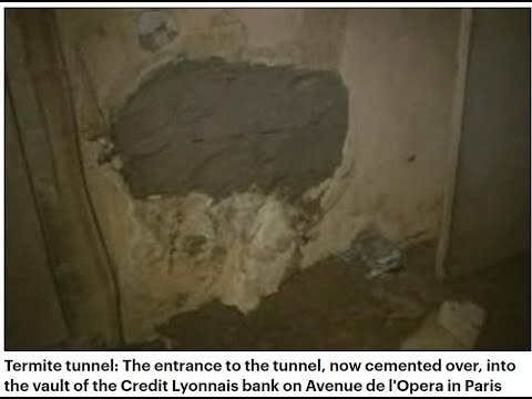 105- The Termites Gang - YouTube