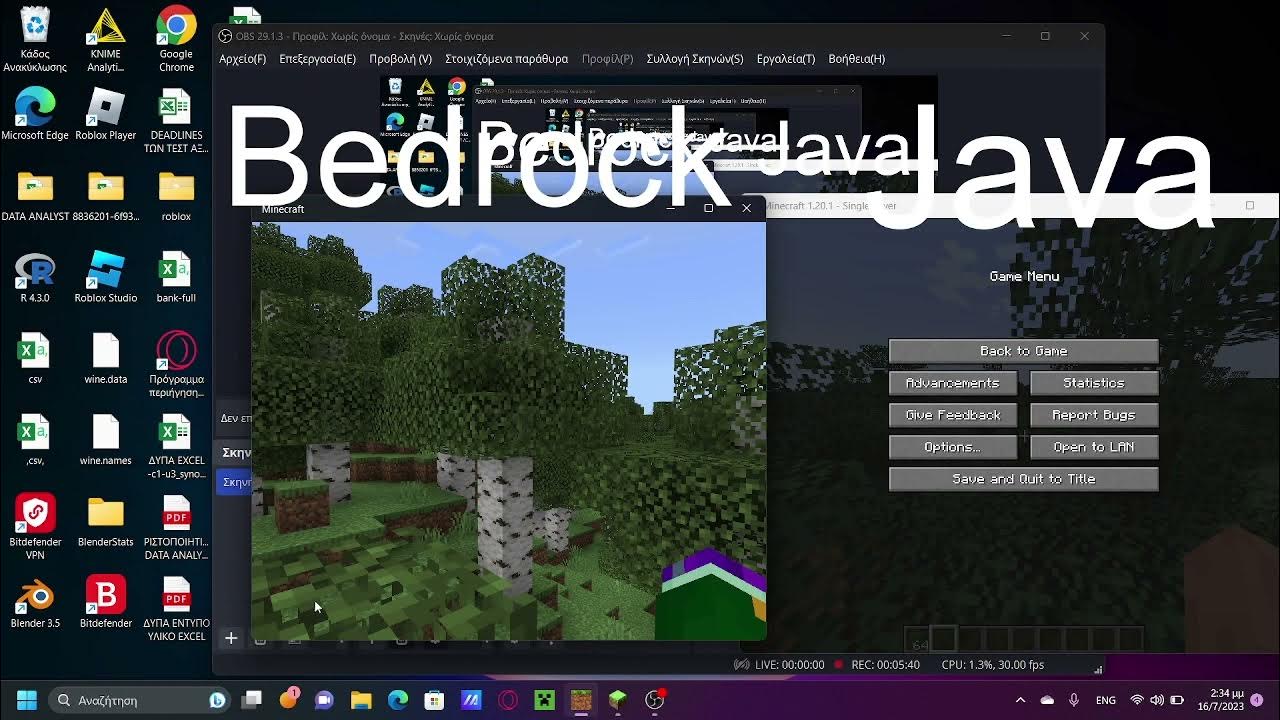 Bedrock Vs Java Edition In Minecraft - YouTube