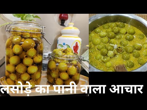 कभी ना खराब होगा लिसोड़े का पानी वाला आचार ।। lasode ka Achar ।। Gunde ।। labhede ka achar ।।