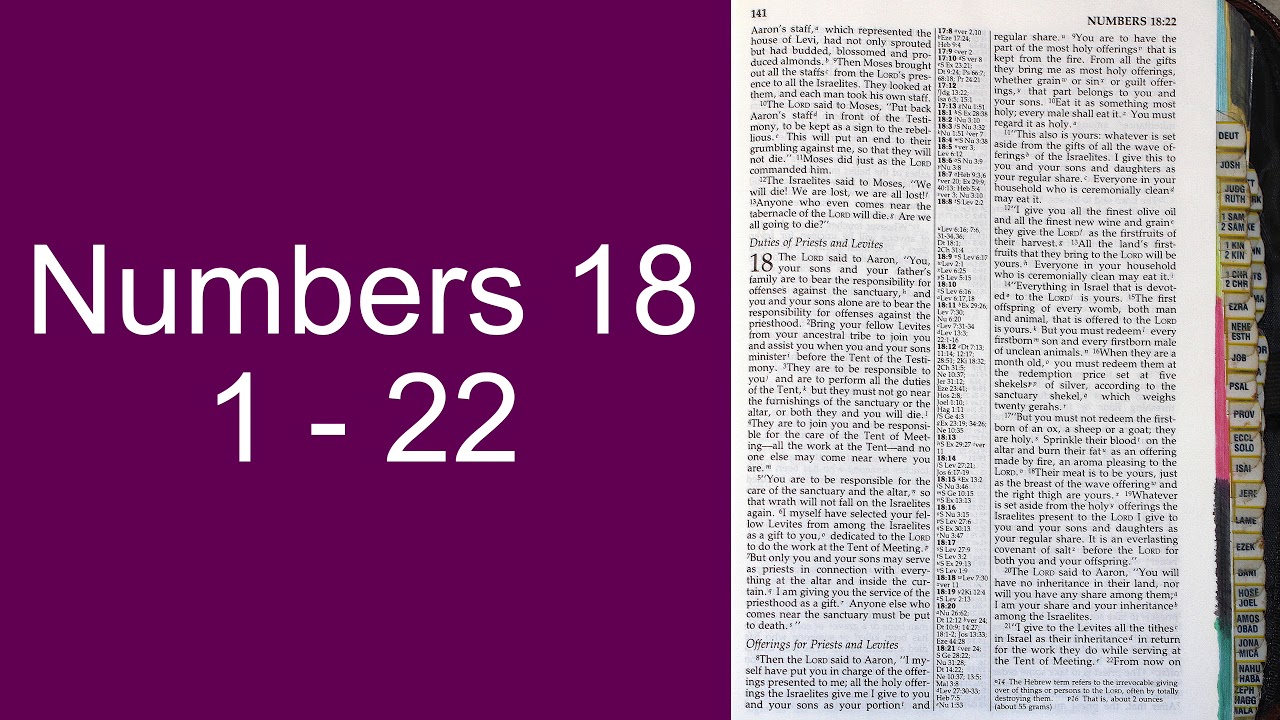 Holy Bible - Numbers 18 : 1 - 32 - YouTube