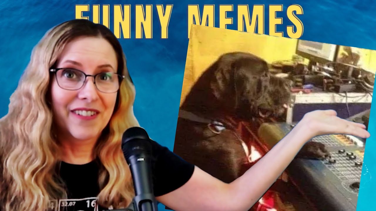 Bass Player Memes | Part 7 - YouTube