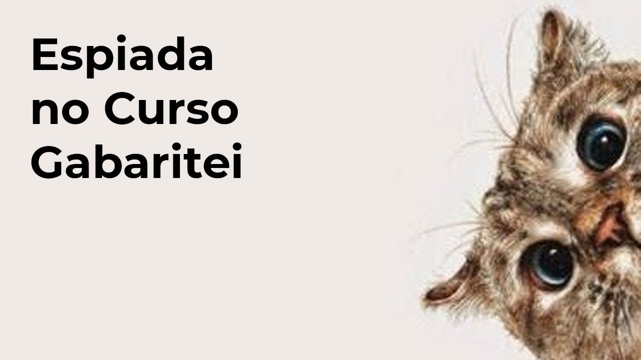 Espiada no Gabaritei - Plataforma, Aulas e Módulos - YouTube