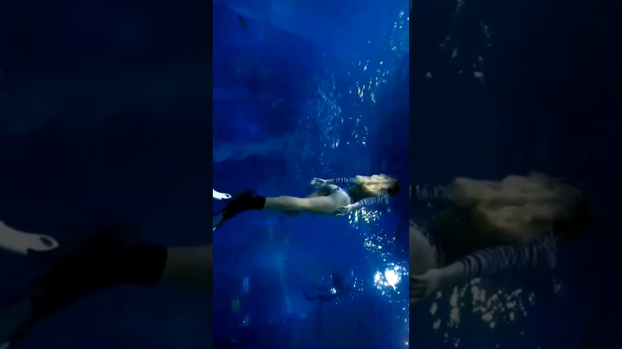 Dive into a Stunning Snorkeling Paradise - YouTube