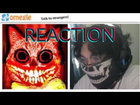 CUTE CAT JUMPSCARE TROLLING ON OMEGLE by lukeafk (REACTION) PART 1