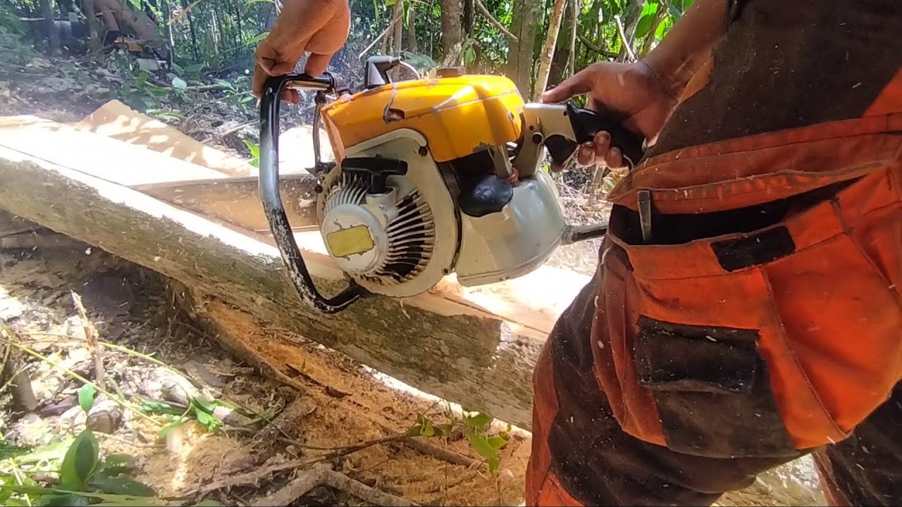 Gemilina wood is awesome||Sawing with Stihl 070//Totordz Tv - YouTube
