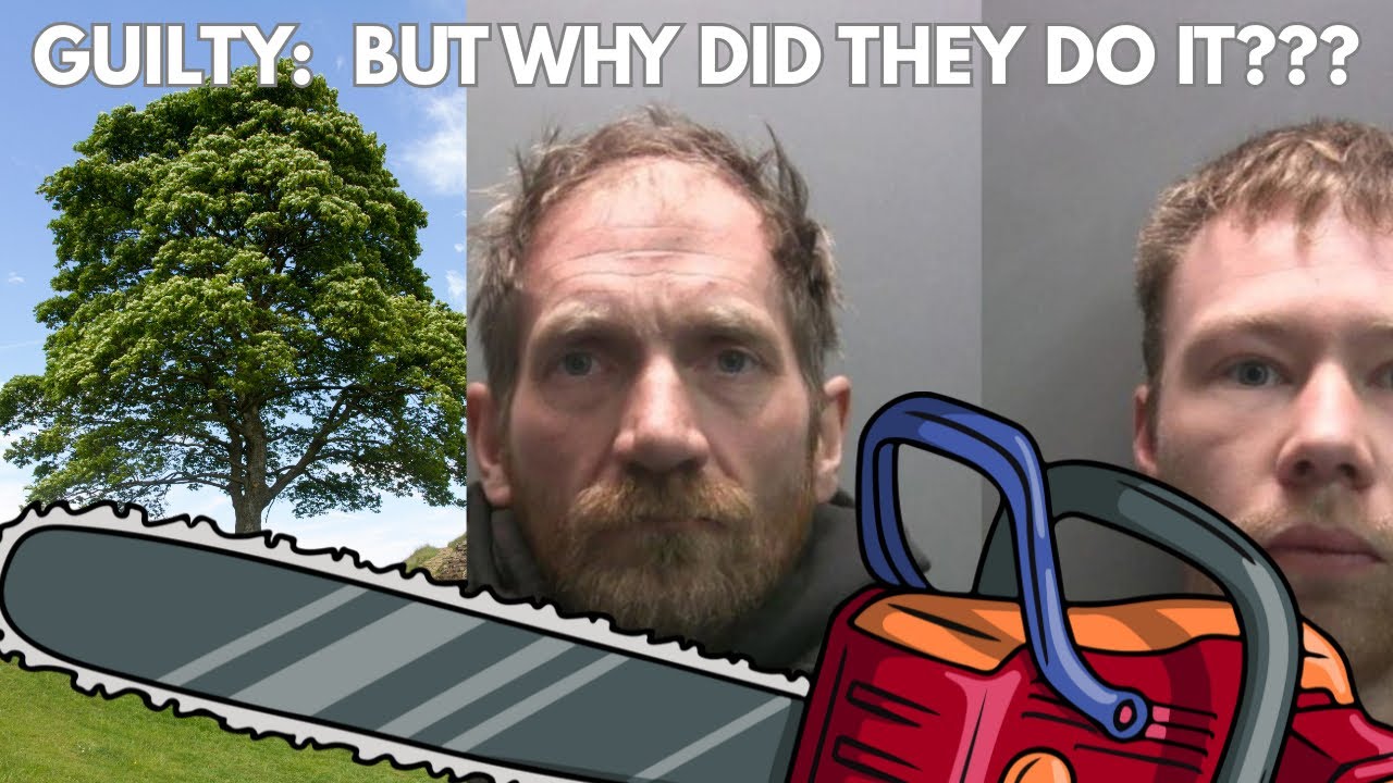The Sycamore Gap Muppets: Guilty, Shameless, and Spiritually Rotten ...