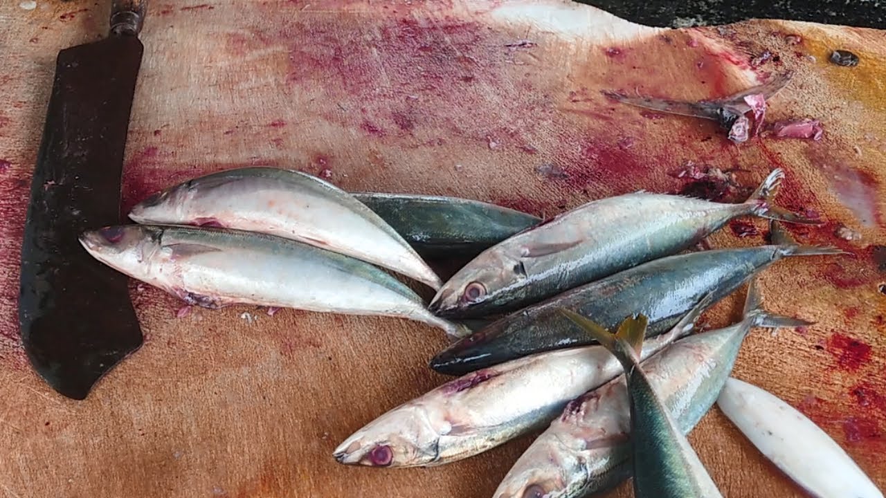 Satisfying Indian Mackerel Cutting | Super Fast Indian Mackerel Cutting ...