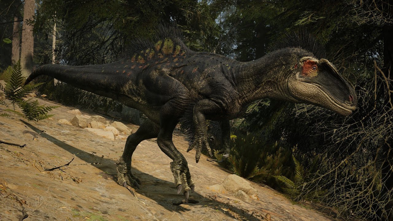 Path of Titans: Cuenca hunchback hunter - Concavenator showcase! - YouTube