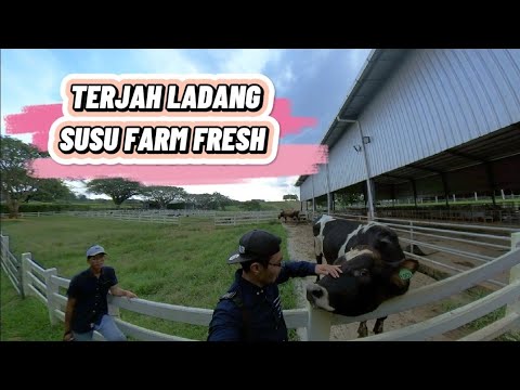 Terjah Ladang Farm Fresh UPM Serdang 16 - YouTube