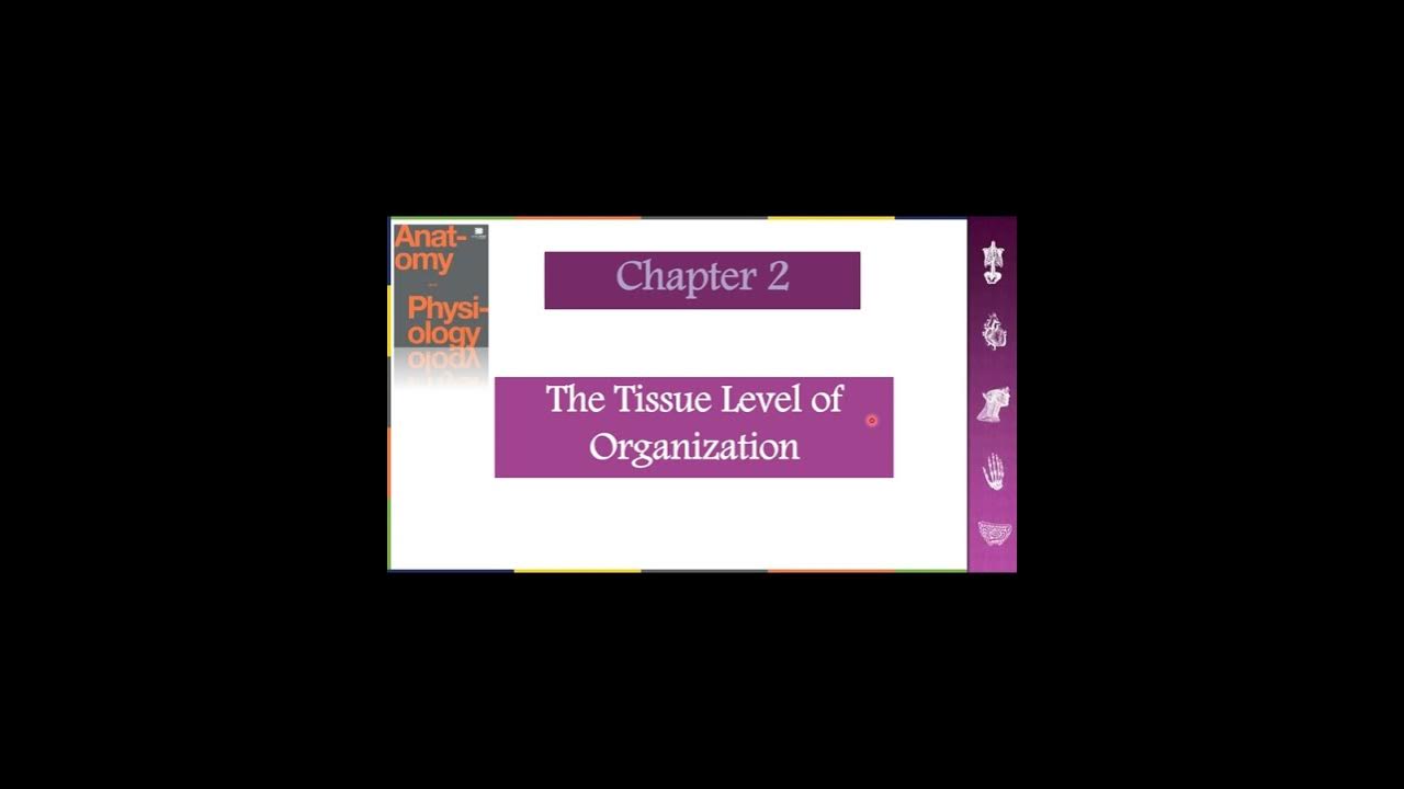 Chapter 2 - Part 1 - YouTube