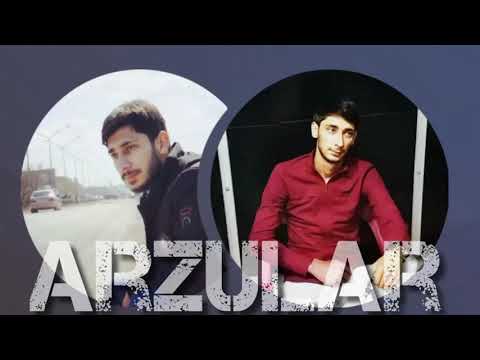 Nofər Mikayıllı - Arzular ( Official Audio )