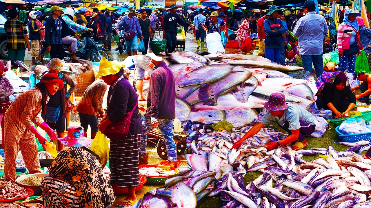 Early morning Fish Market Screen, Activities of fish buyers to sell ...