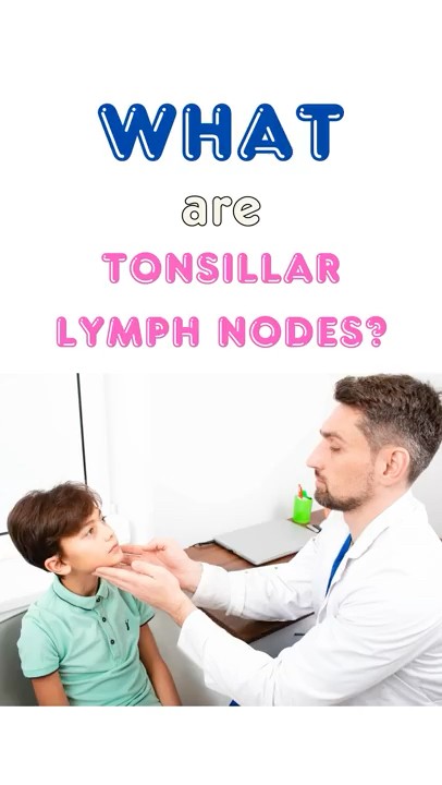 Tonsillar lymph nodes, lymphatic drainage of palatine tonsils #anatomy ...