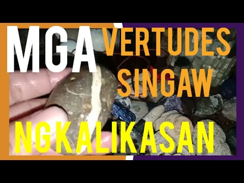 mga vertudes singaw ng kalikasan #kumander kalantiaw - YouTube