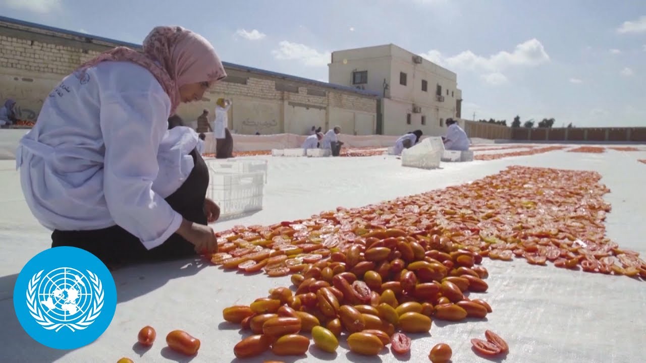 State of Food Security and Nutrition in the World 2022- Interview with ...