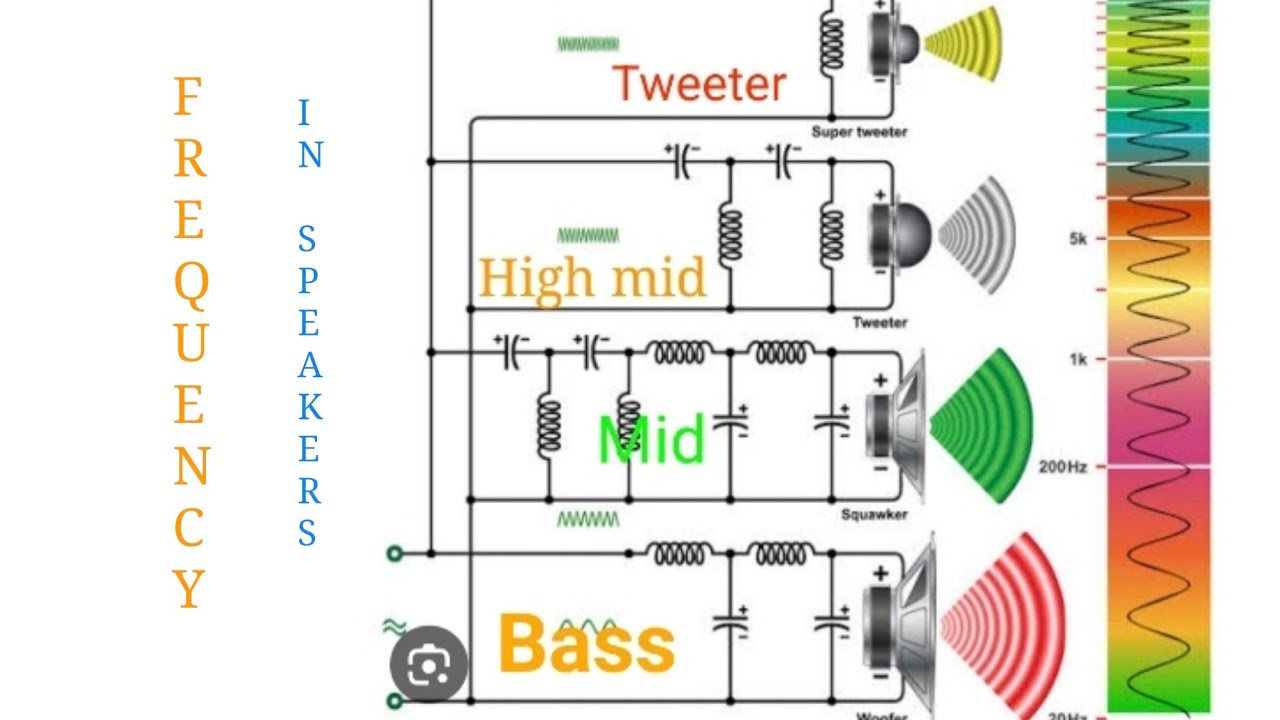 UNDERSTANDING FREQUENCY IN SPEAKERS - YouTube