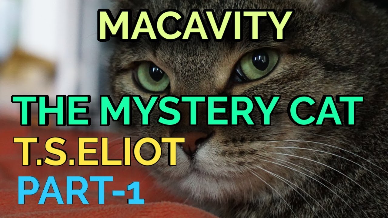 MACAVITY:THE MYSTERY CAT#T.S.ELIOT#PART-1#ABOUT THE AUTHOR DESCRIPTION# ...