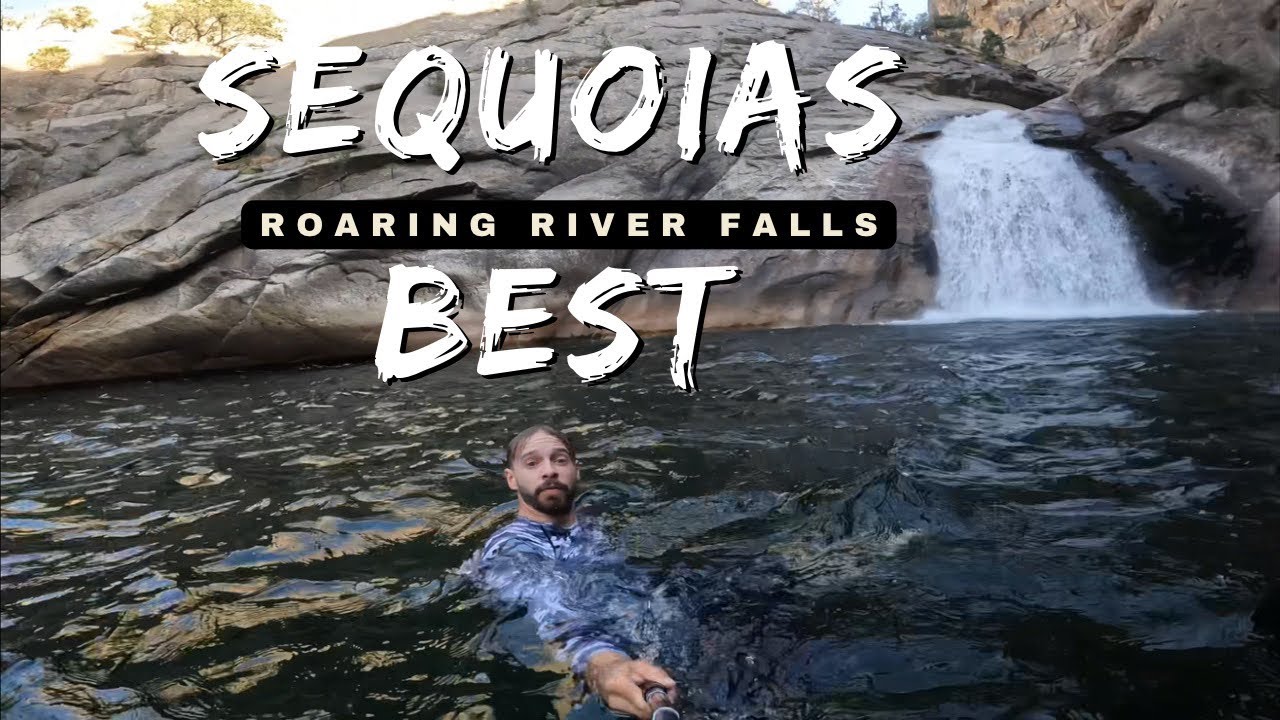 Exploring Sequoia and Kings Canyon: A Family Adventure at Roaring River Falls Best Swim Spots ...