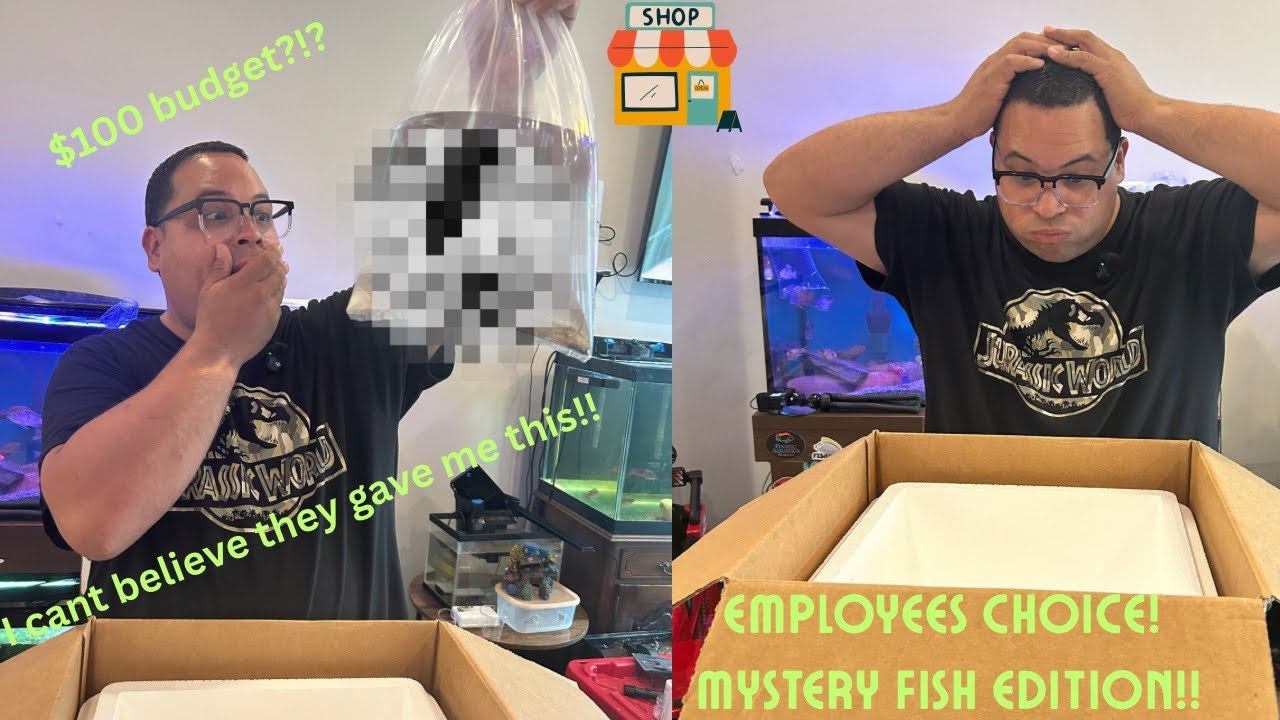 fish store employee pick out mystery fish!! - YouTube