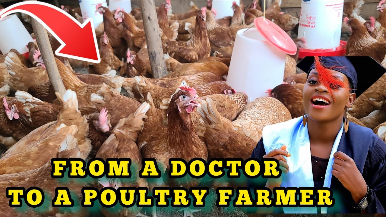 FROM BEING A DOCTOR TO A SUCCESSFUL PROUD CHICKEN FARMER IN KAMPALA ...