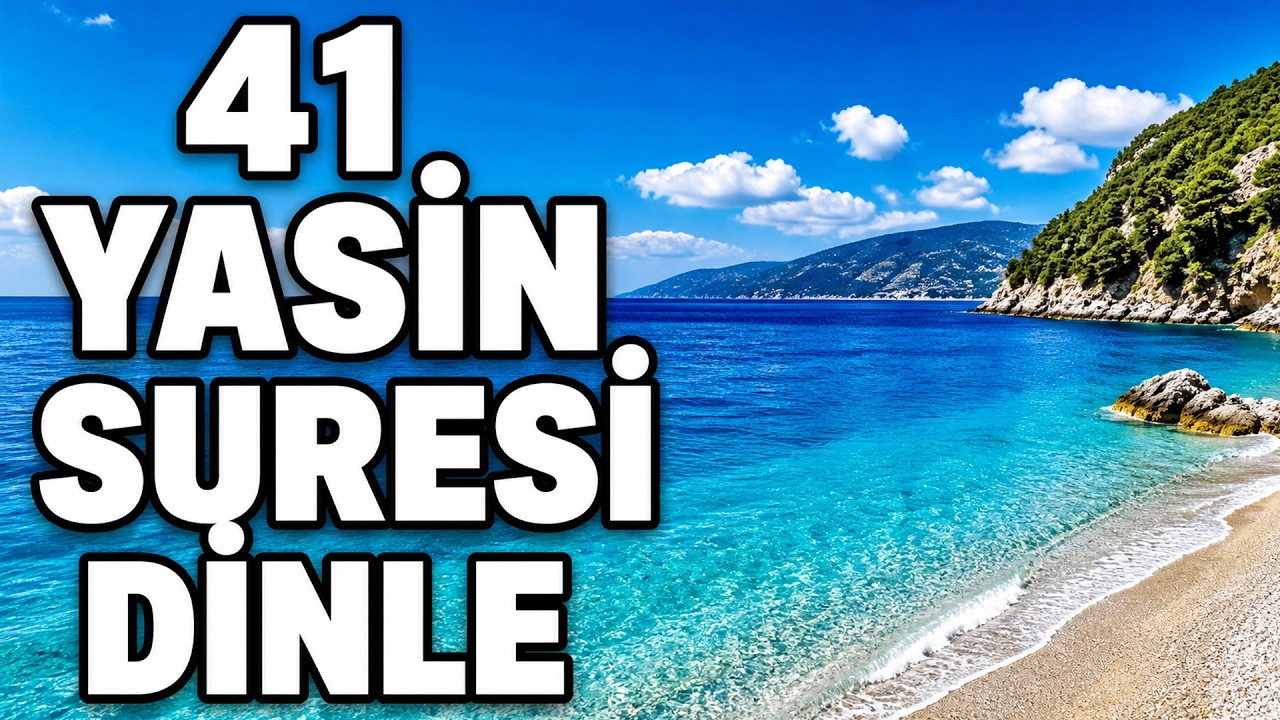 41 Yasin Suresi - Satır Takipli - Hızlı Okuma - Kur'an-ın Kalbi - Hafız ...